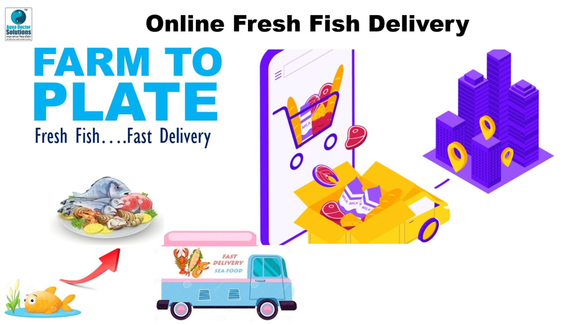 E Fish Tutor – Know More About Aqua Doctor Solutions